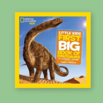 33 Terrific Dinosaur Books for Kids – What Dino Lovers Need!